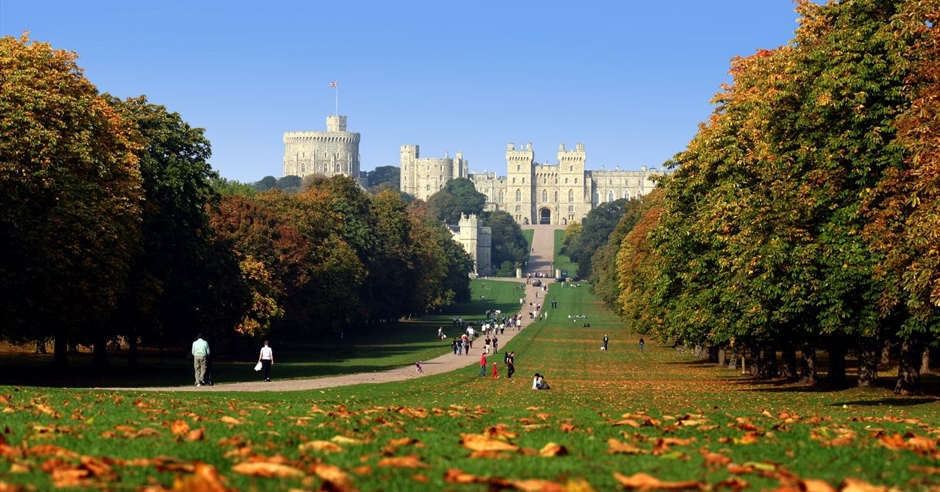 Windsor Great Park - Visit Windsor