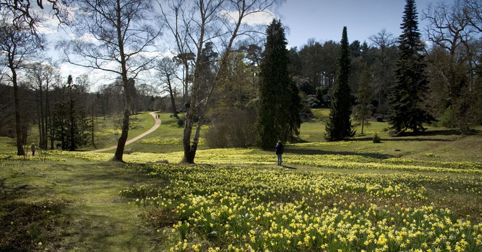 Windsor Great Park - Visit Windsor