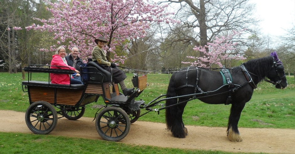 Ascot Carriages - Visit Windsor