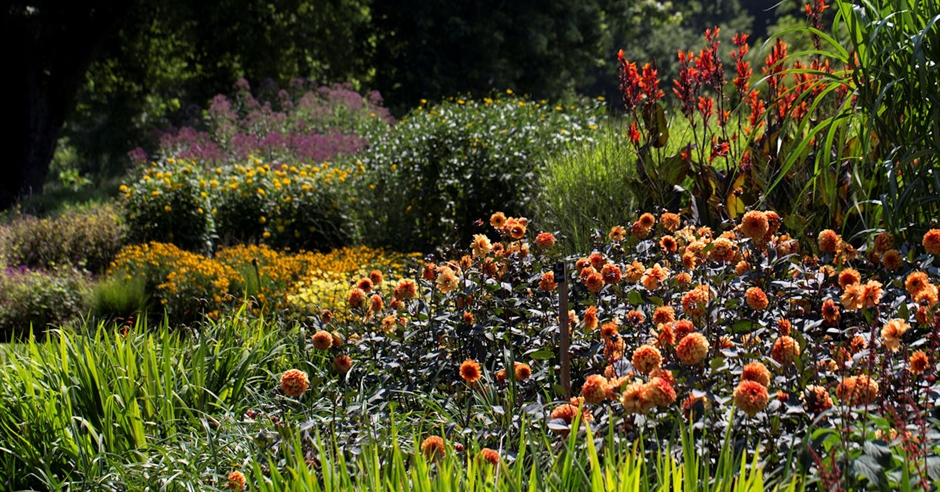 The Savill Garden - Visit Windsor
