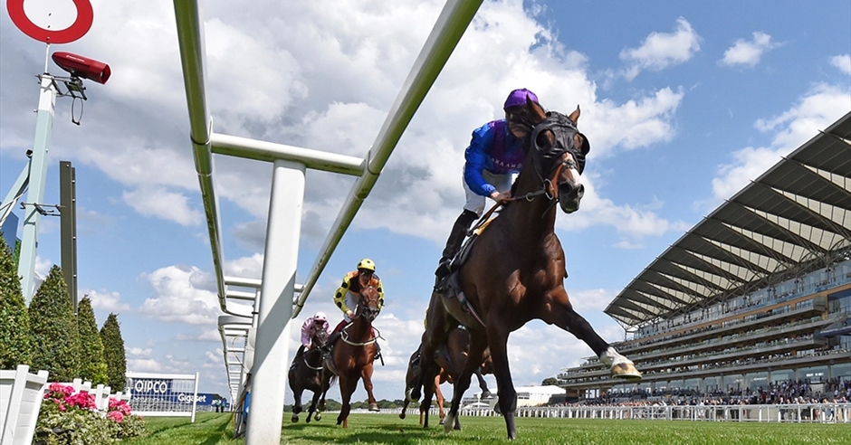 Racing to Zero Summer Mile Weekend at Ascot - Visit Windsor
