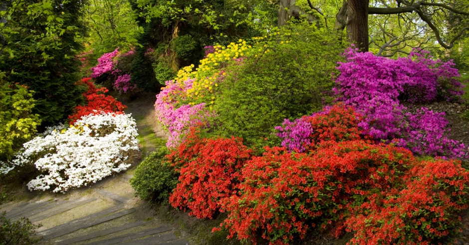 Windsor Great Park - Visit Windsor