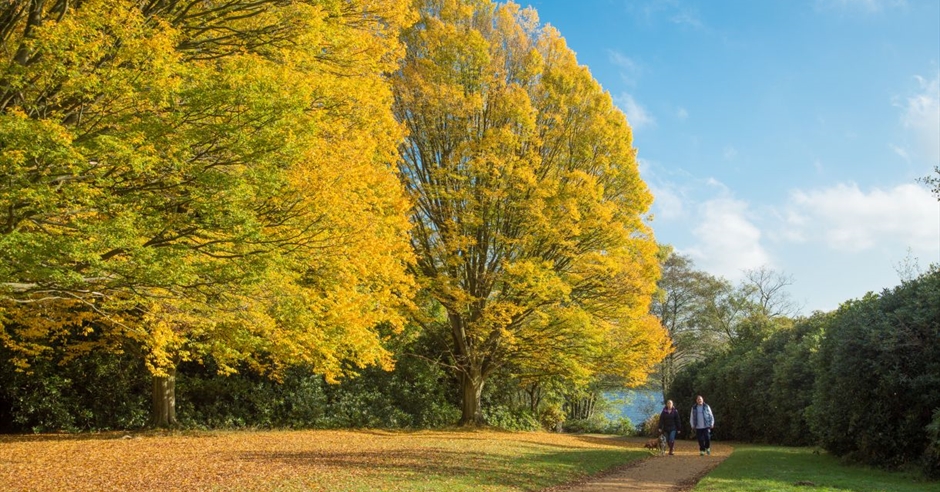 Windsor Great Park - Visit Windsor