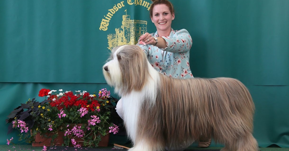 Windsor Championship Dog Show - Visit Windsor