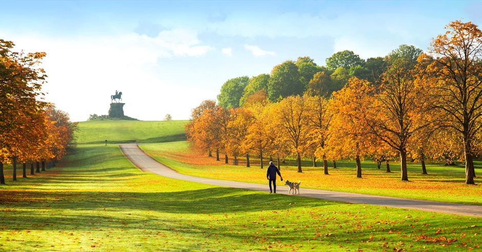 Windsor Great Park - Visit Windsor