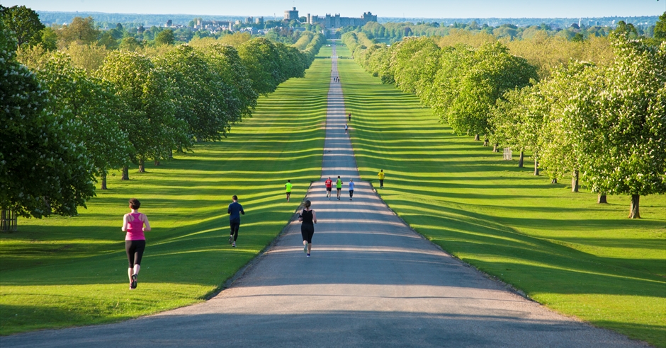 Windsor Great Park - Visit Windsor