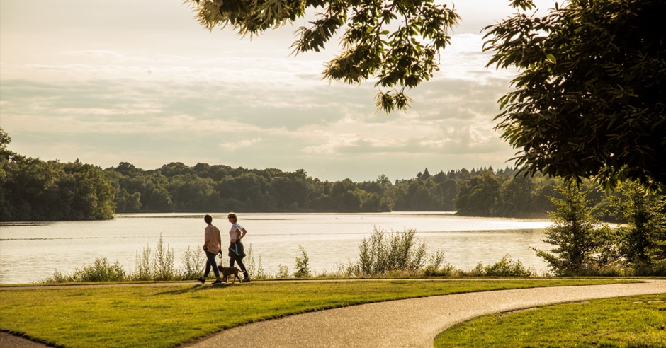 Windsor Great Park - Visit Windsor