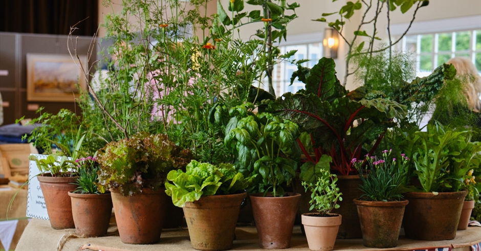 Royal Windsor Flower Show - Visit Windsor