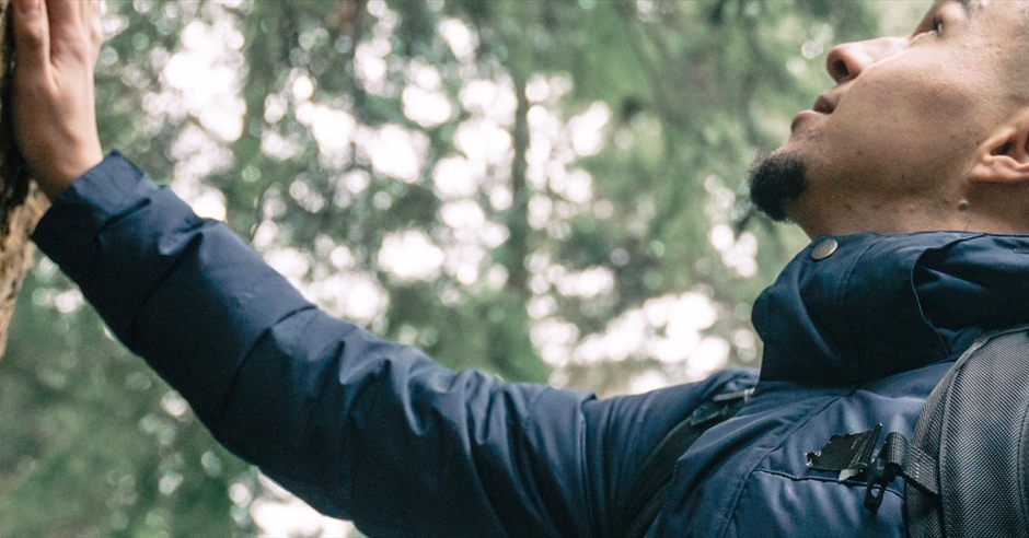 Summer Solstice Forest Bathing | Adult Learning Session - Visit Windsor