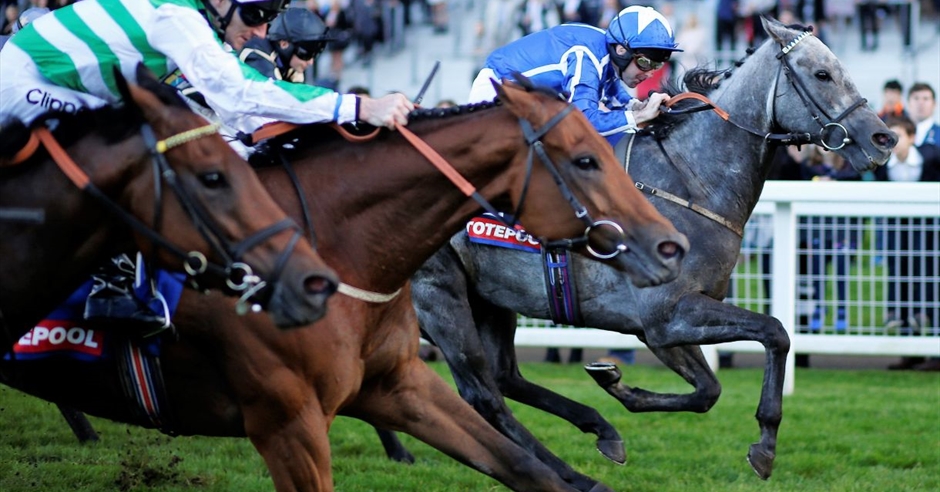 BetMGM Autumn Racing Weekend at Ascot - Visit Windsor