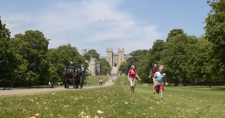 Windsor Great Park - Visit Windsor