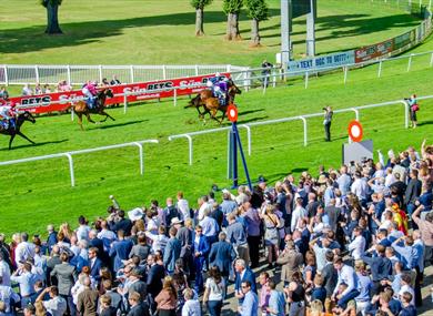 Royal Windsor Racecourse - Visit Windsor