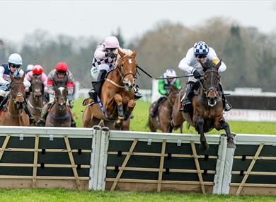 Royal Windsor Racecourse - Visit Windsor