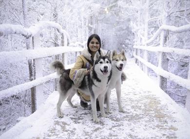 LaplandUK - Visit Windsor