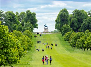 Windsor Great Park - Visit Windsor