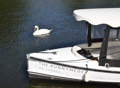 The Runnymede on Thames - Egham - Visit Windsor